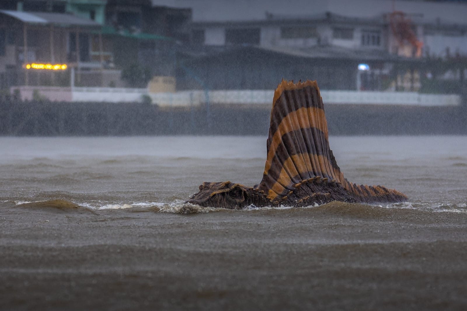 Dinosaurus Raksasa Muncul di Sungai Chao Phraya Thailand dalam rangka ...
